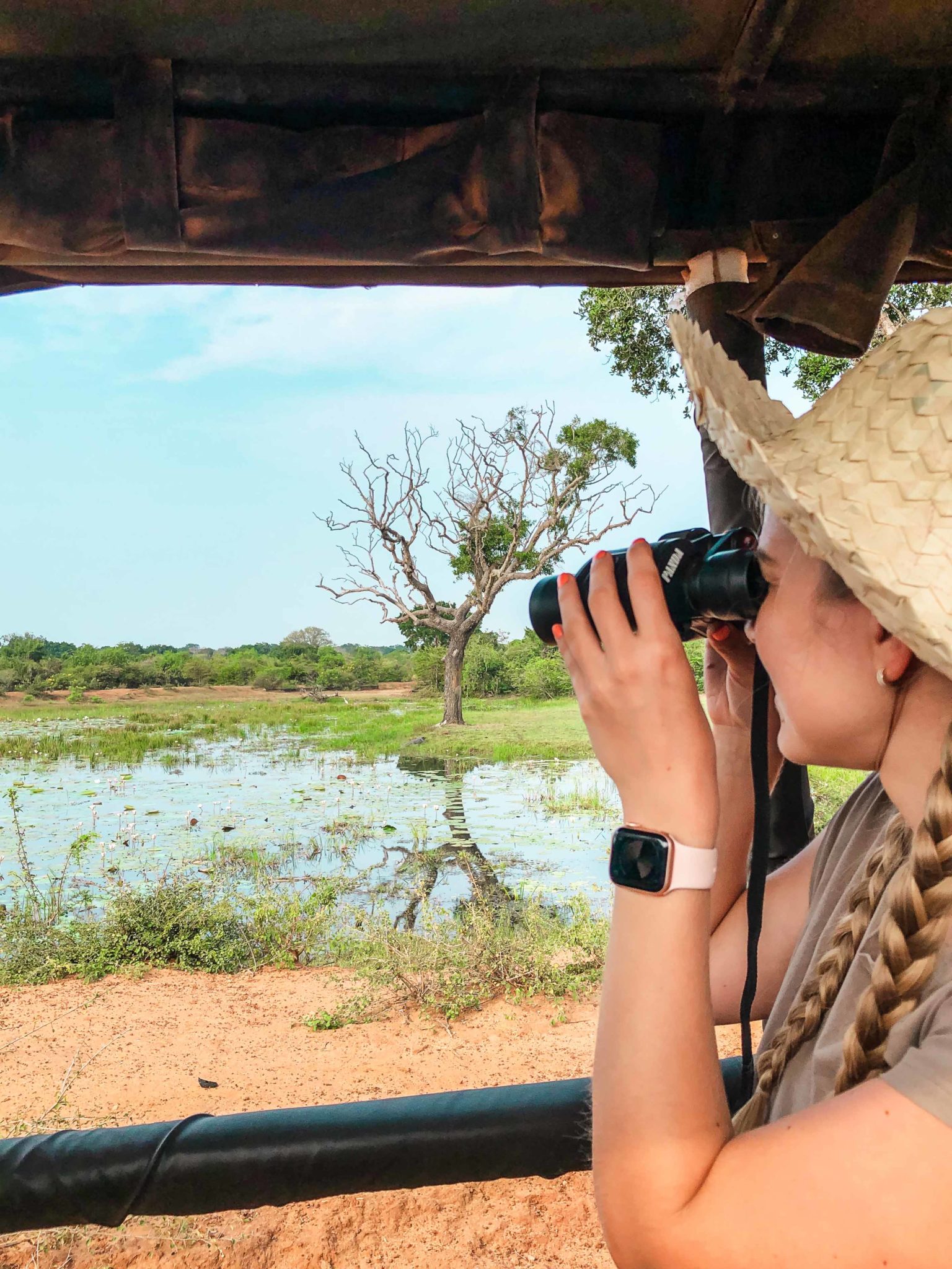 Yala National Park: The Best Place in Sri Lanka to See Leopards in the Wild