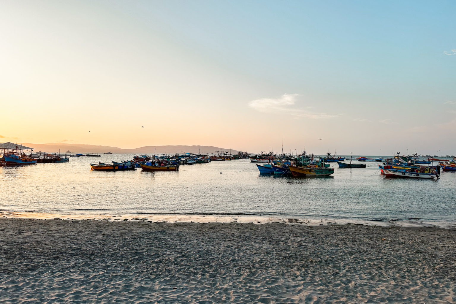 5 Best Things to Do in Paracas, Peru