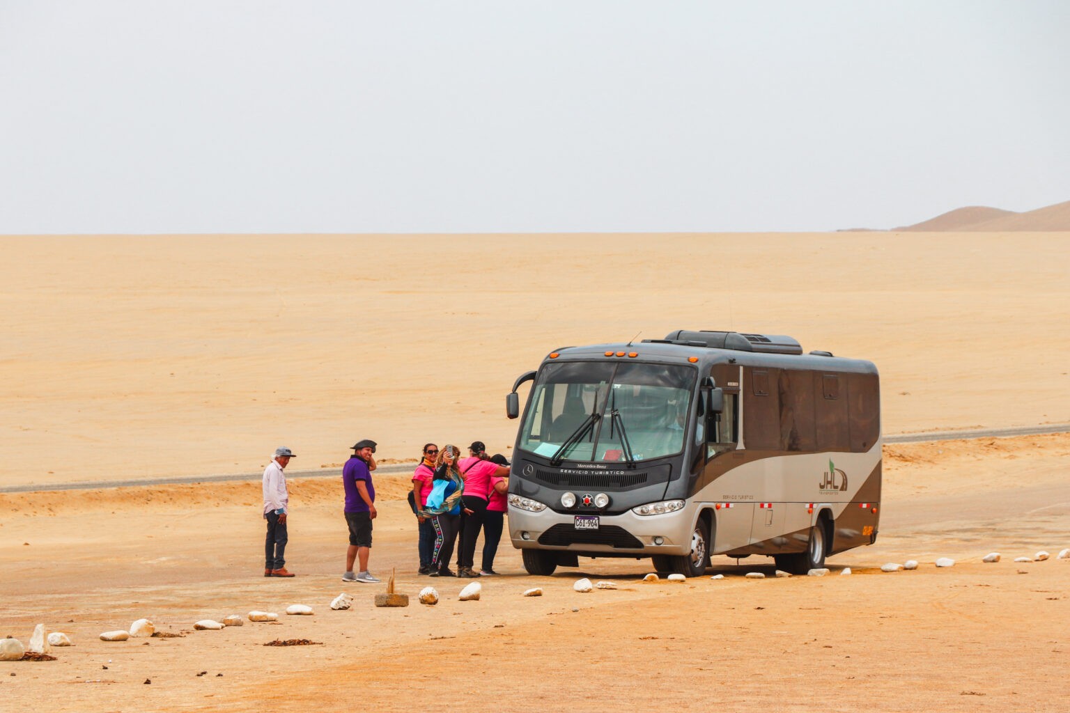 Paracas National Reserve Guide: Discover Peru's Coastline