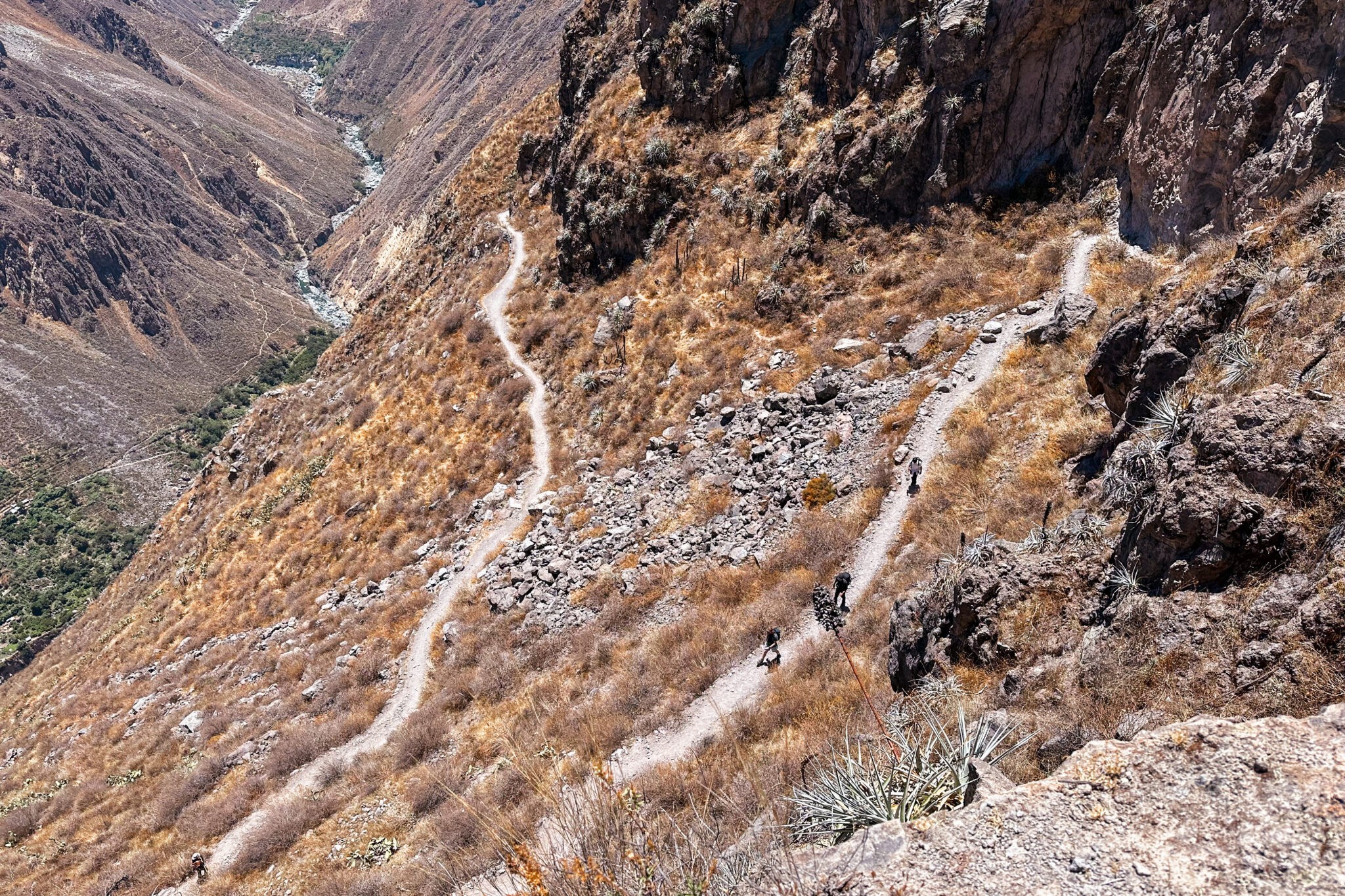Colca Canyon Guide 2024: Hiking One of the Deepest Canyons