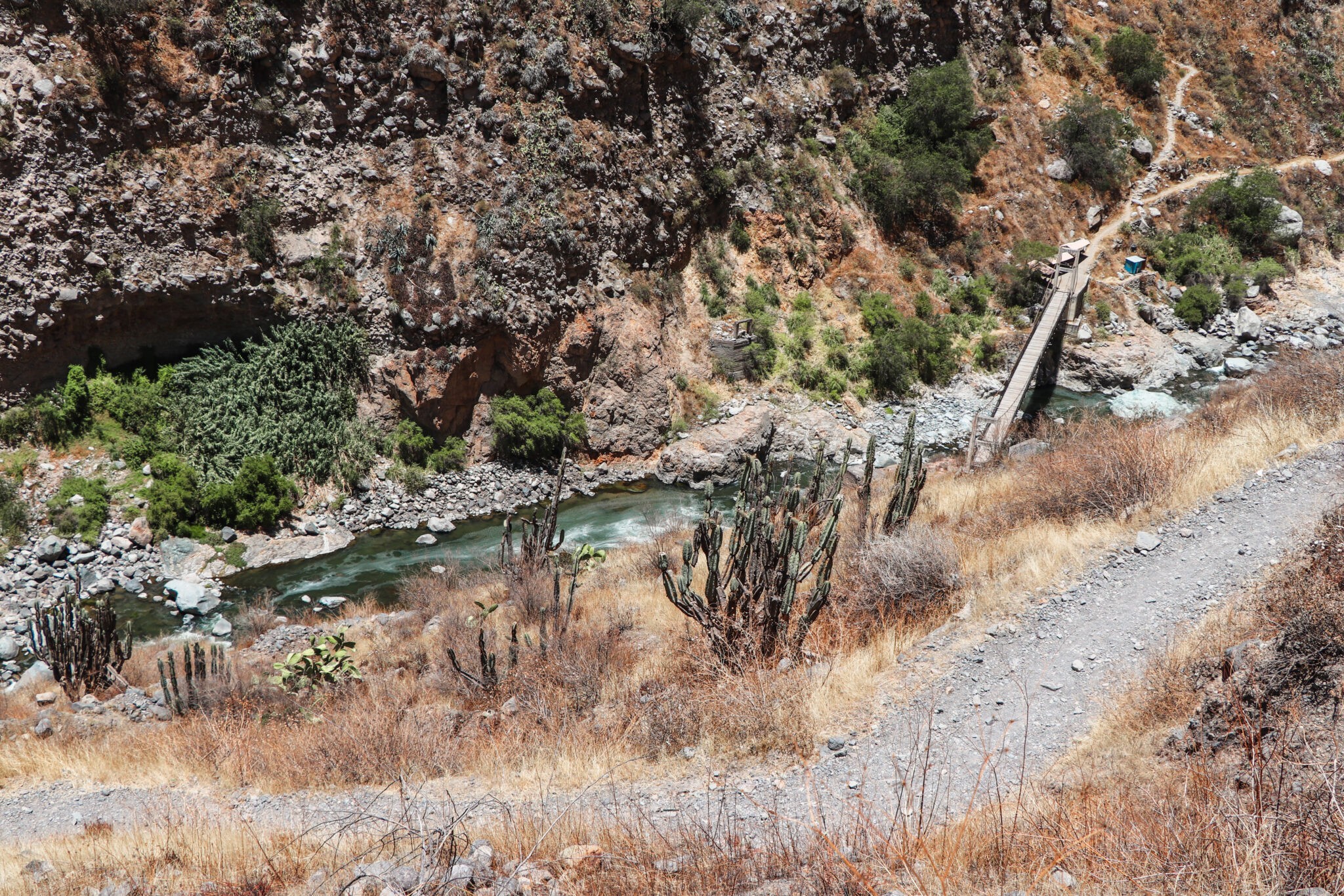 Colca Canyon Guide 2024: Hiking One of the Deepest Canyons